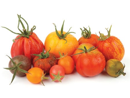 Tomato Time – Fresh & Flavorful
